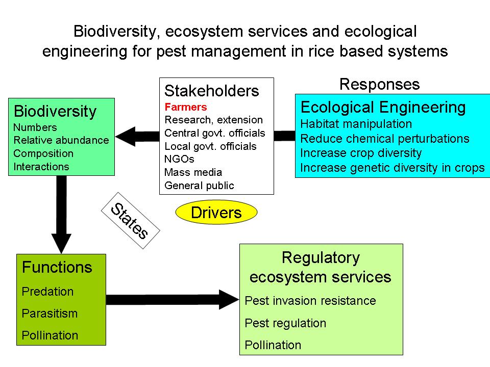 Biodiversity
