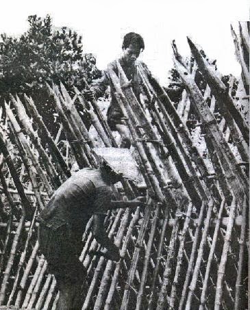 PICTURES FROM WAR AND HISTORY: History Of The Vietnam War: Dateline