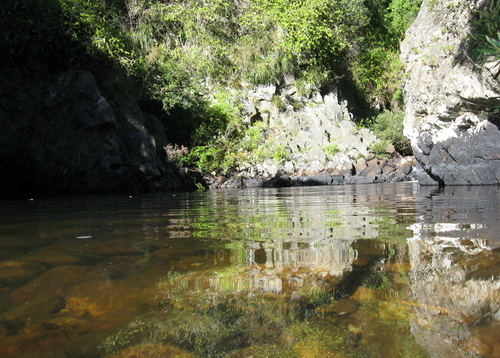 Pelluhue Cabañas Cerro La Paloma: Pelluhue Campos y Ríos