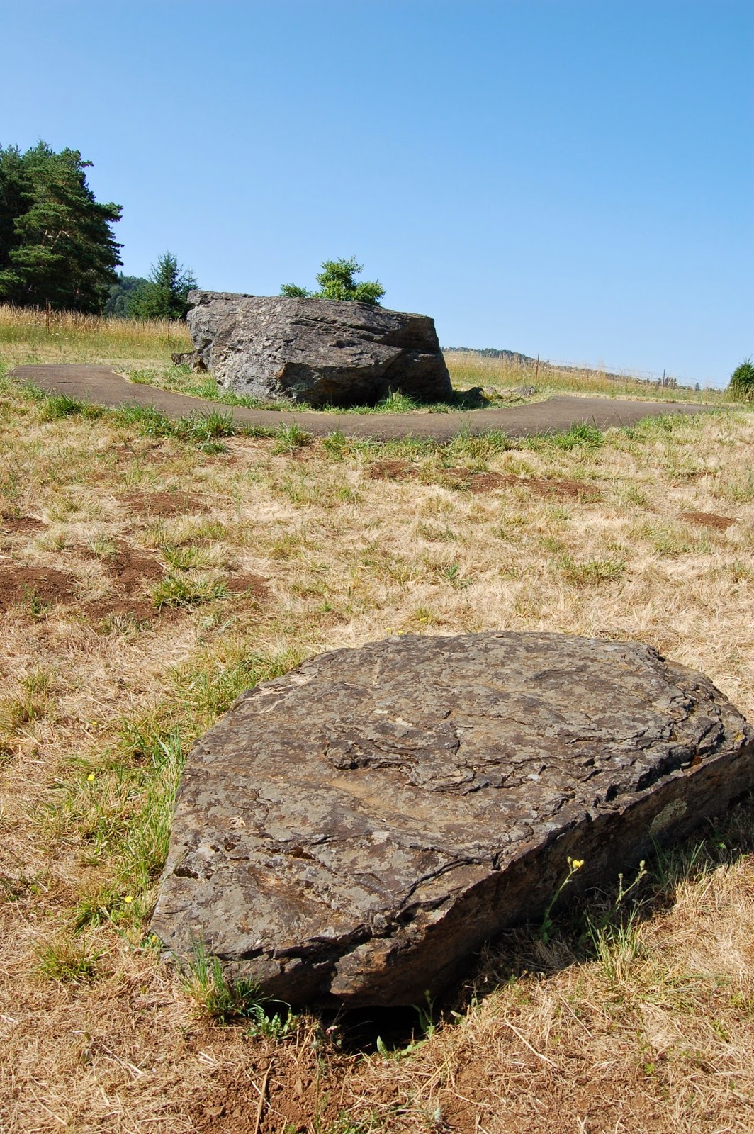 Erratico Significato