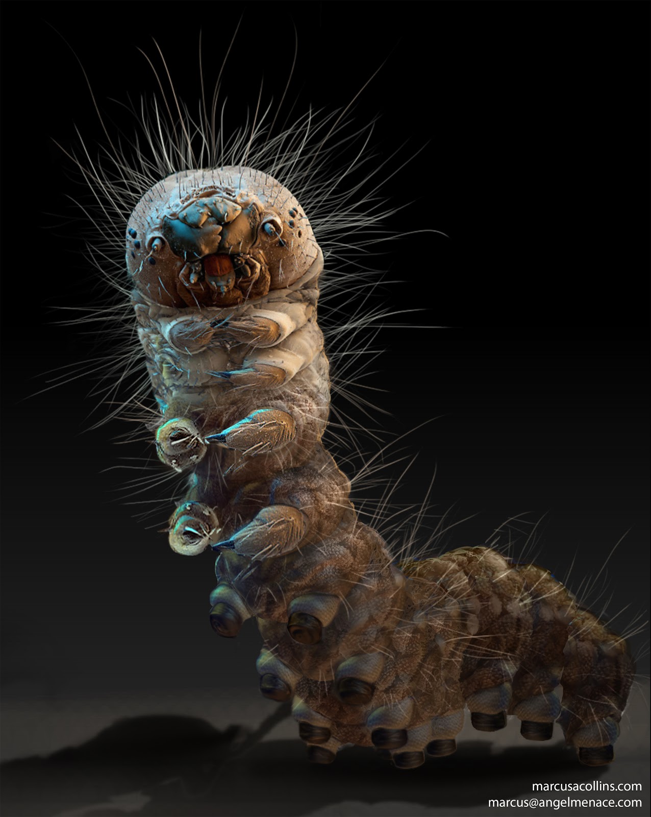 Caterpillar by Marcus Collins : r/ImaginaryMonsters