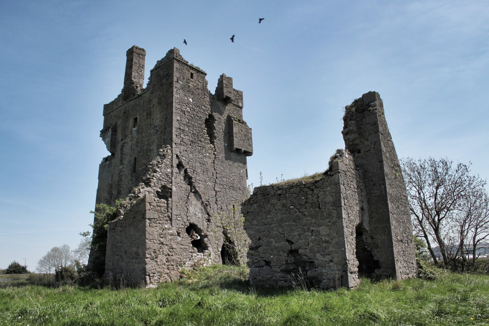 Historic Sites of Ireland: Srah Castle
