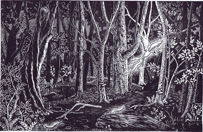 Black and White: Feathers to Light the Way