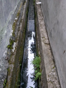 Cara Aman Memanfaatkan Air Got Untuk Memupuk dan Menyiram Tanaman