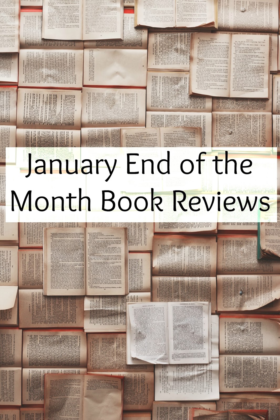 January End of Month Book Reviews