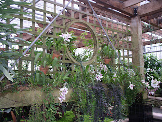 Walkabout with Becky: The Atlanta Botanical Garden