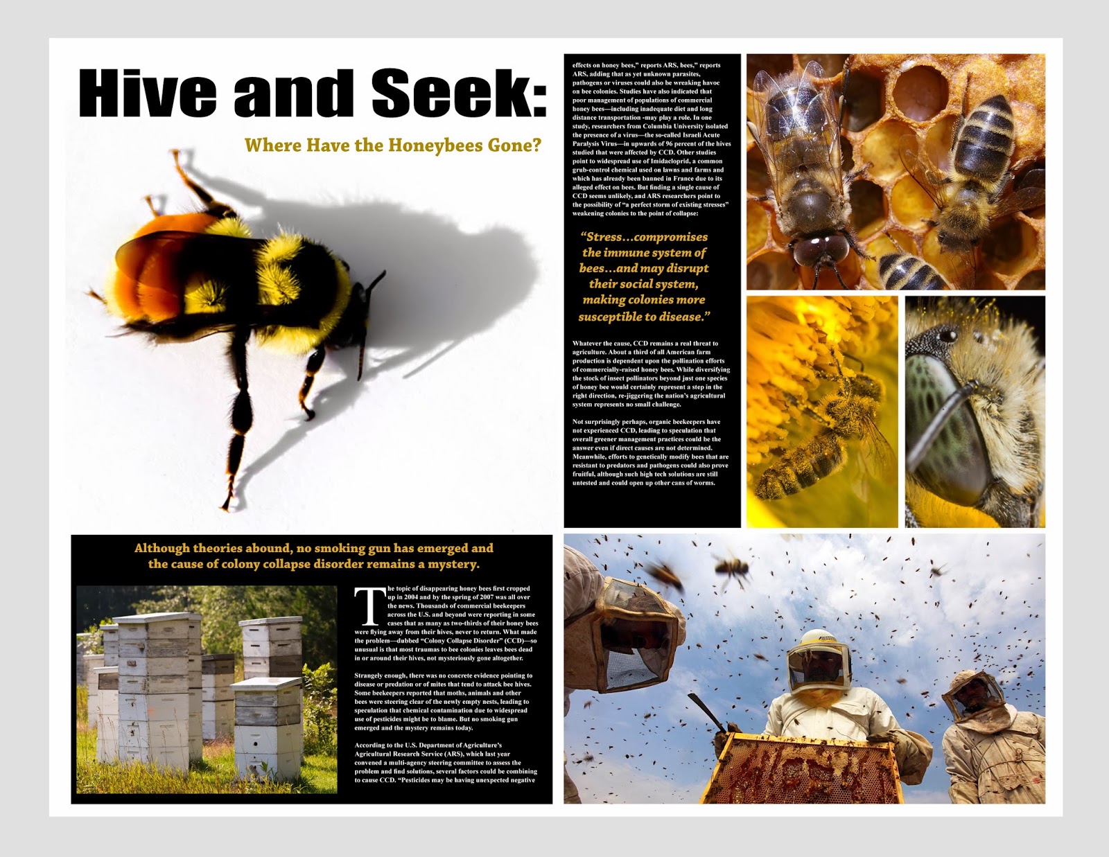 Artwork by Remps Imagination: Honey Bee Magazine Article