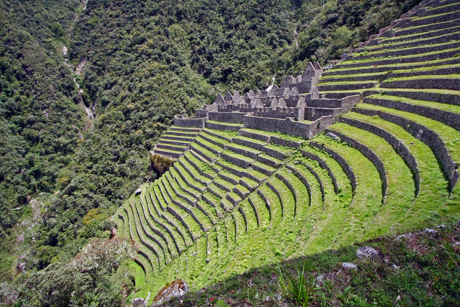 Historia IMLS: Imágenes del Imperio Inca (1ero C)