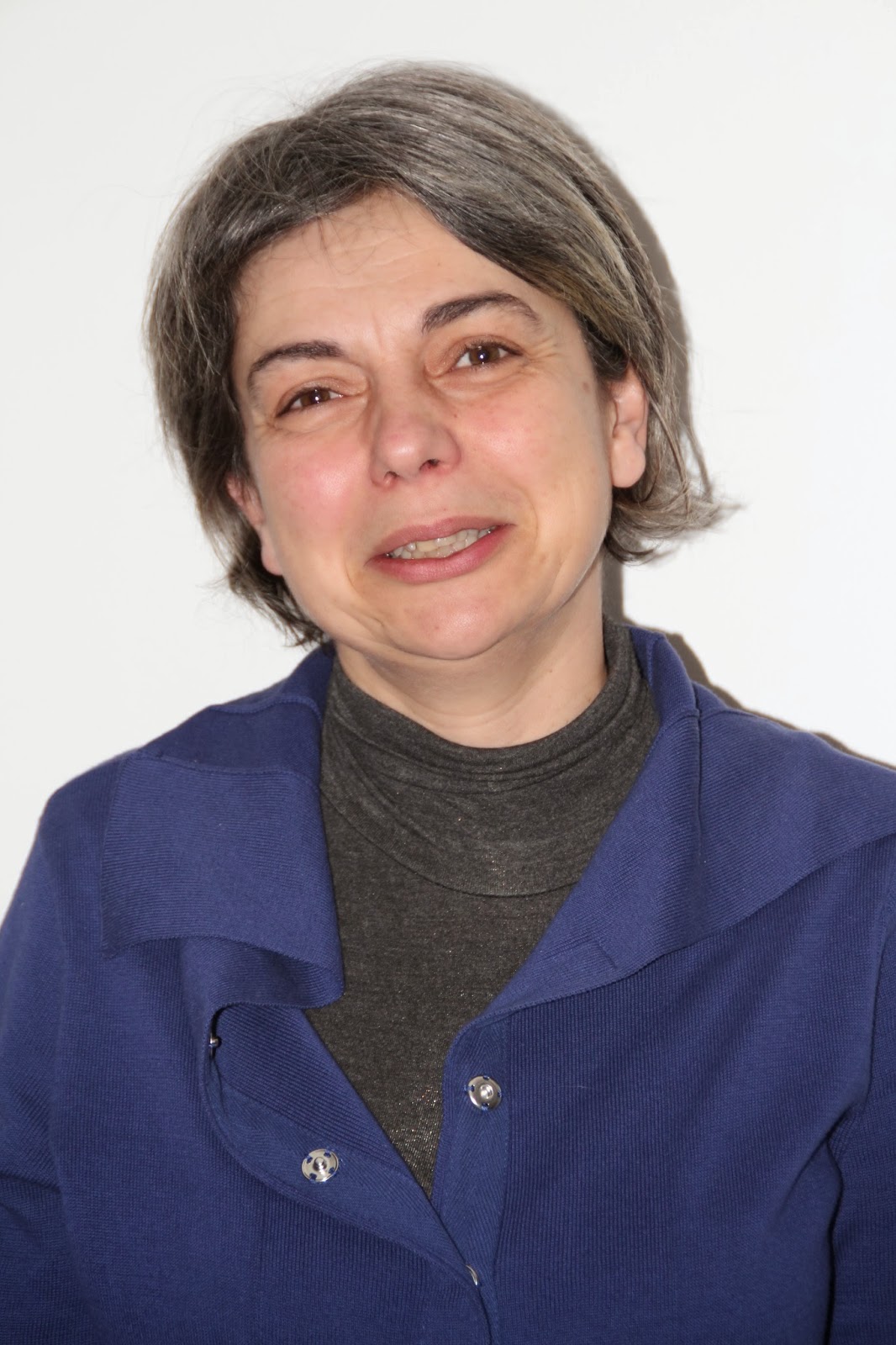 S'investir Ensemble pour Les Sorinières: L'équipe