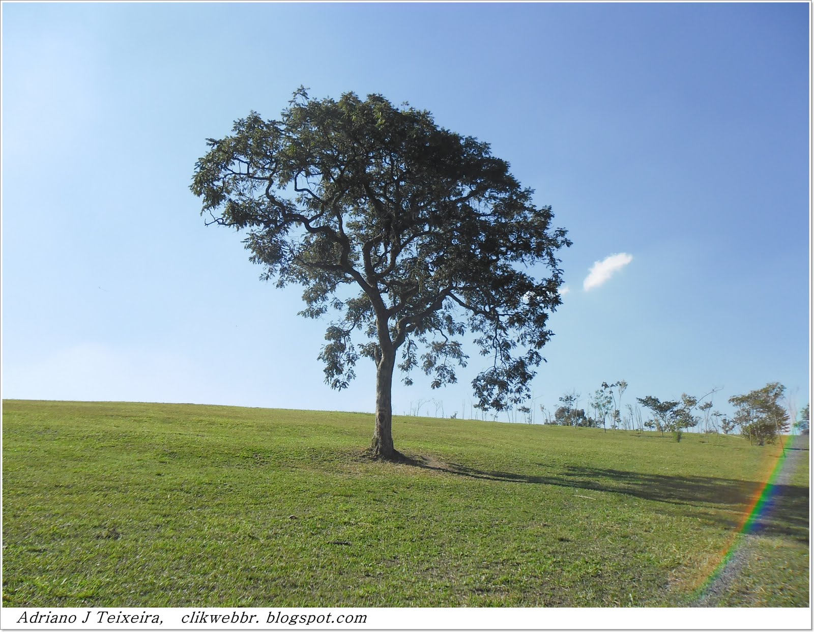 Mundo das Plantas : Parque do Carmo São Paulo