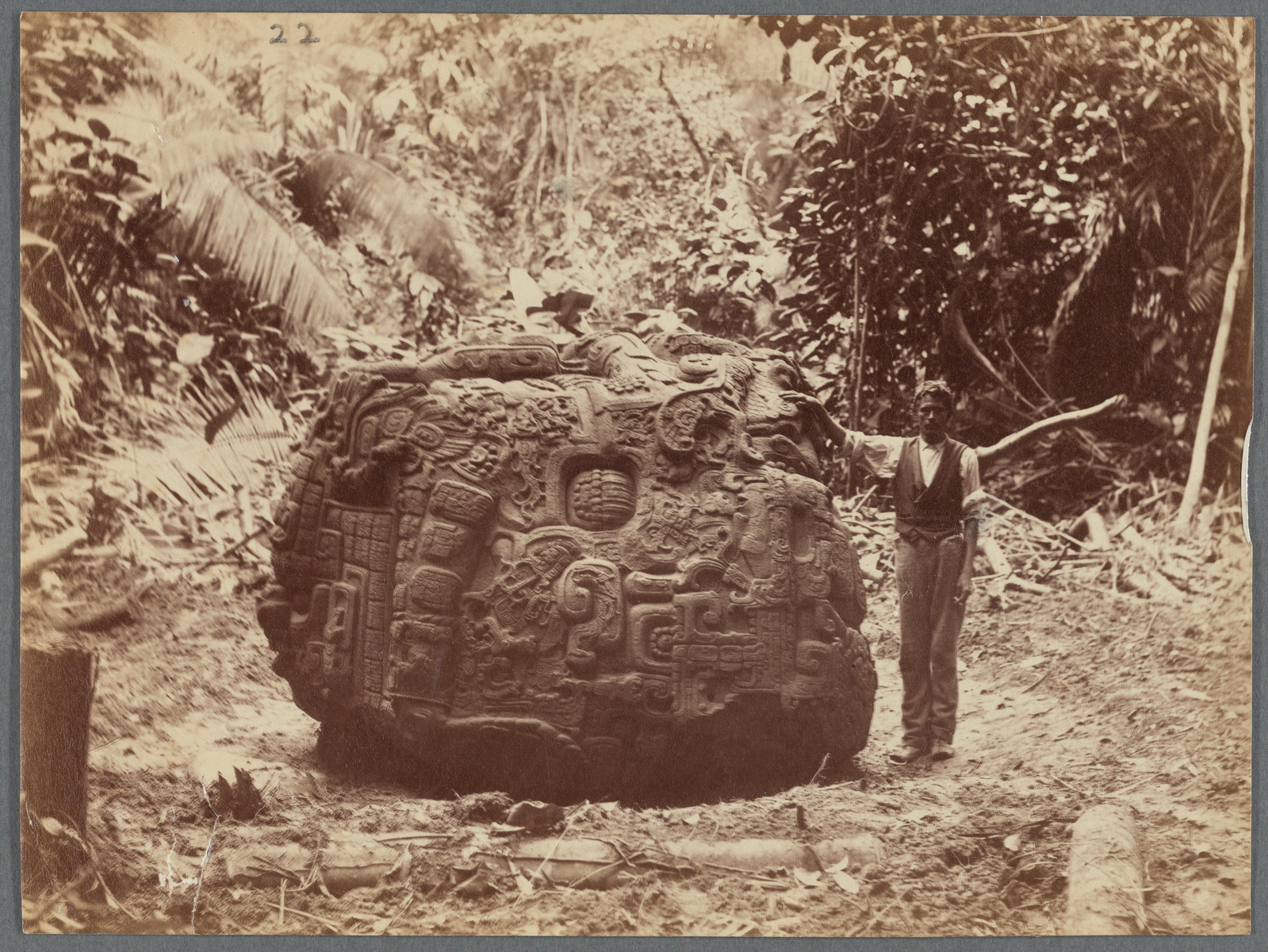 Ancient Maya Life: The Starry Deer Crocodile