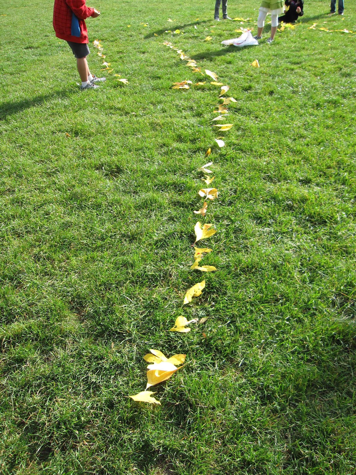 El Sol Art: Andy Goldsworthy Study