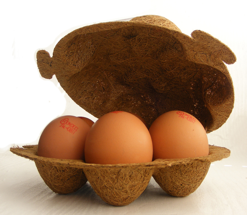 LXVARQUITECTOS: Fibras de Coco Prensadas