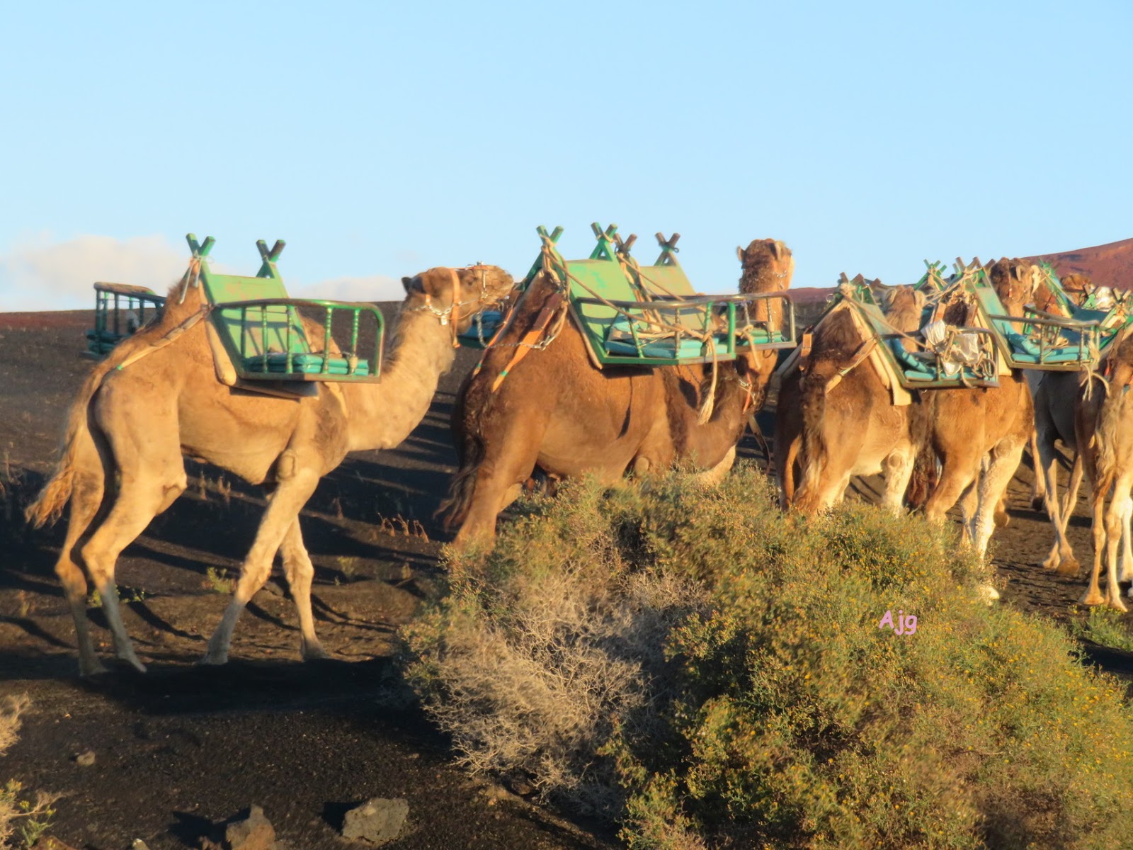 En Busca del Hada Azul: El Parque Nacional del Timanfaya