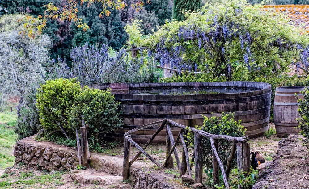 A Prima Vista: Ebbio | Monteriggioni, Italy