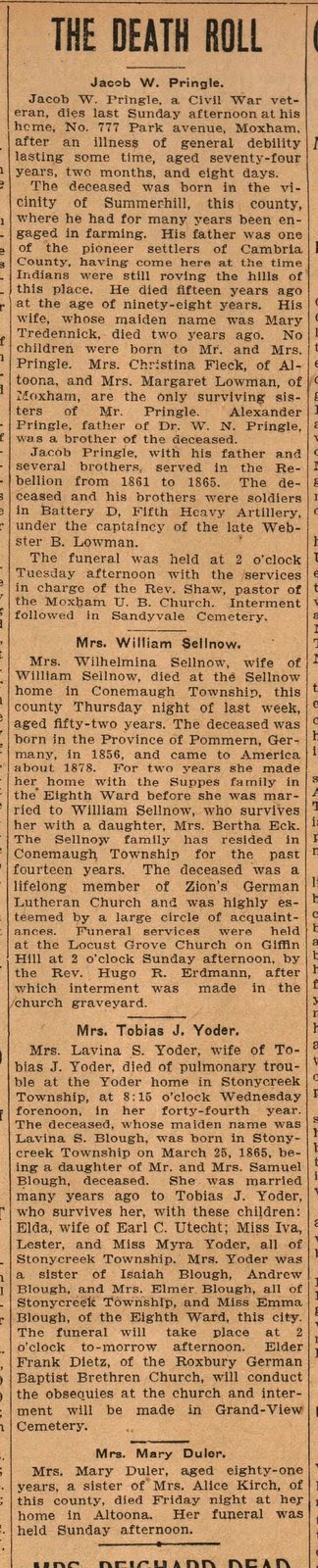 Vintage Johnstown: The Death Roll - 1908