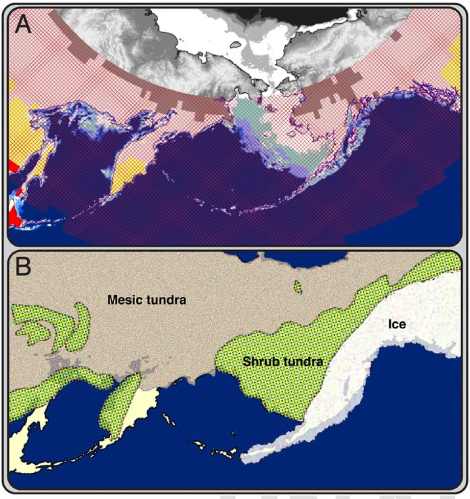 XTerraSpace: Did last ice age affect breastfeeding in Native Americans?