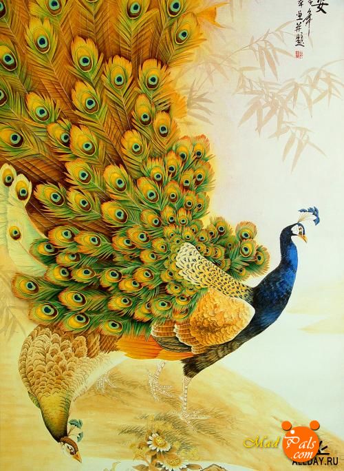 Amazing Collection For All: VERY BEAUTIFULL PAINTING MAYUR