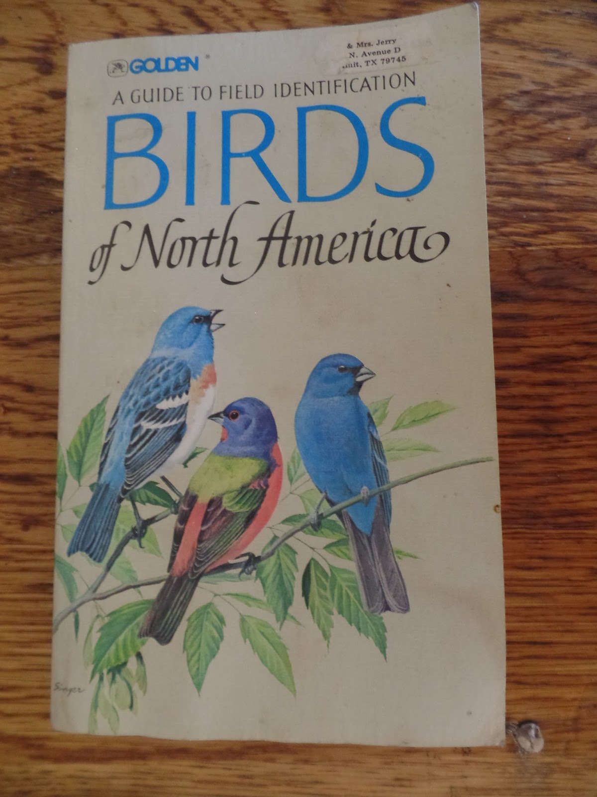 BJ's Homeschool : Birdwatching Nature Study - Simple Unit Study ...