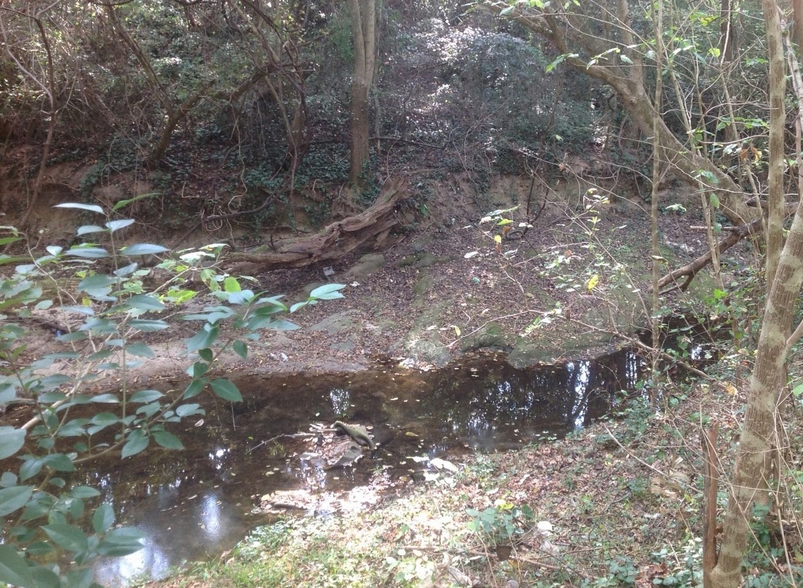 NC Greenways Geology: Little Rock Trail