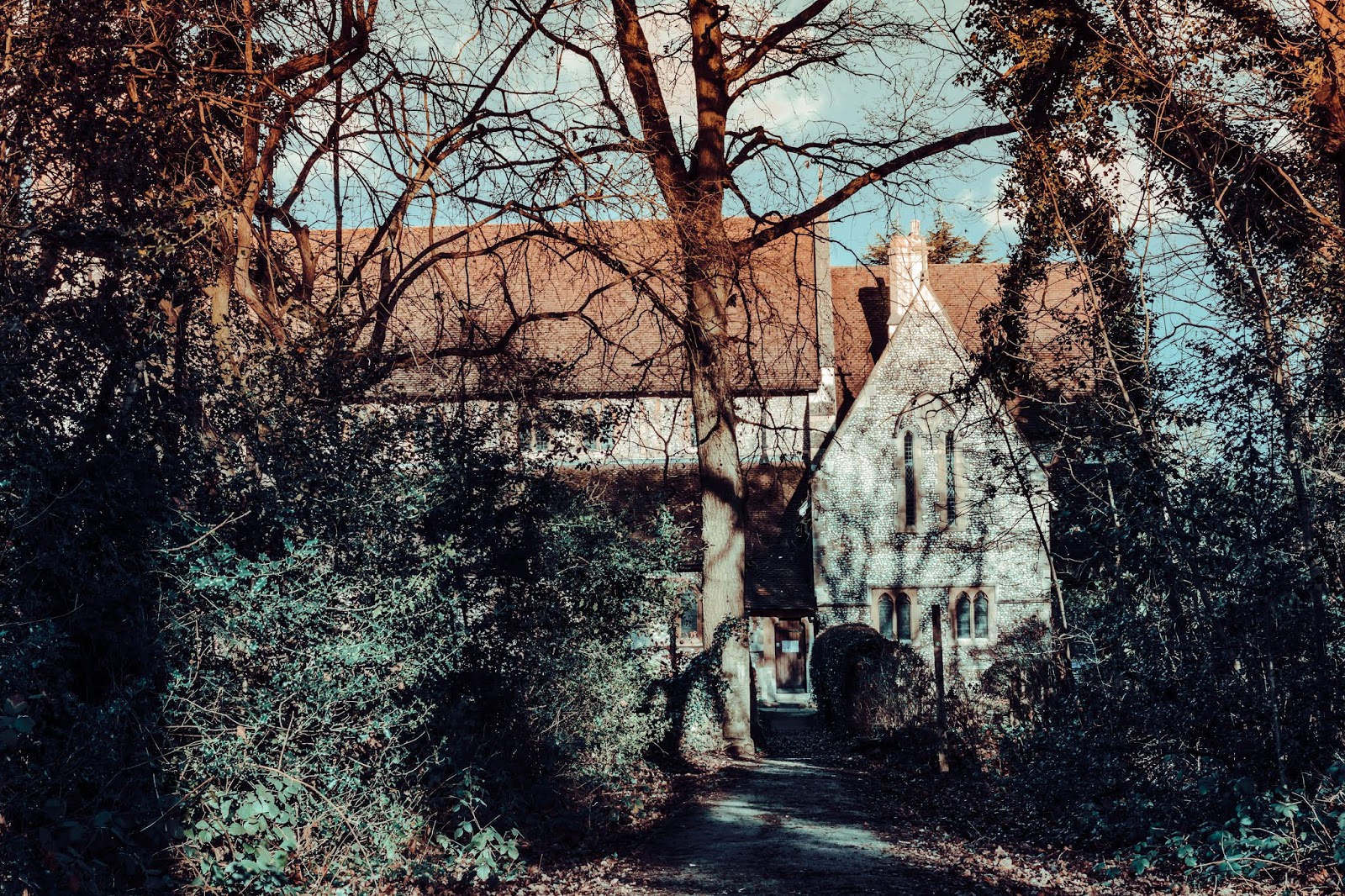 Enjoy your time with beautiful places: Epsom Common