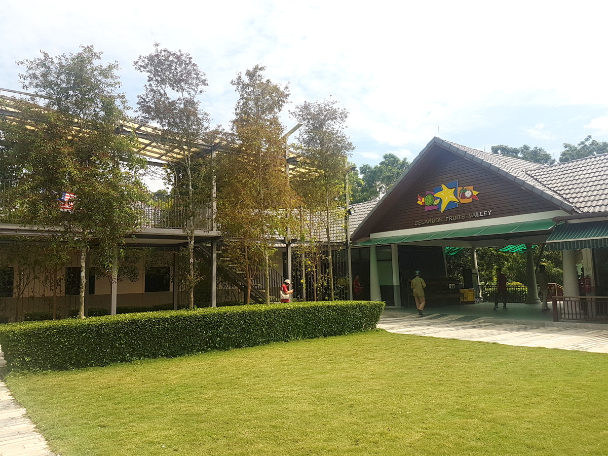 Travelholic: Weekend in Selangor Fruit Valley (SFV)