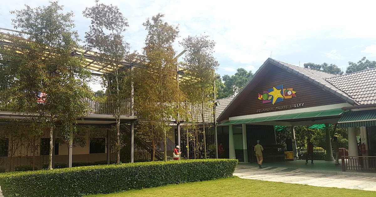 Travelholic: Weekend in Selangor Fruit Valley (SFV)