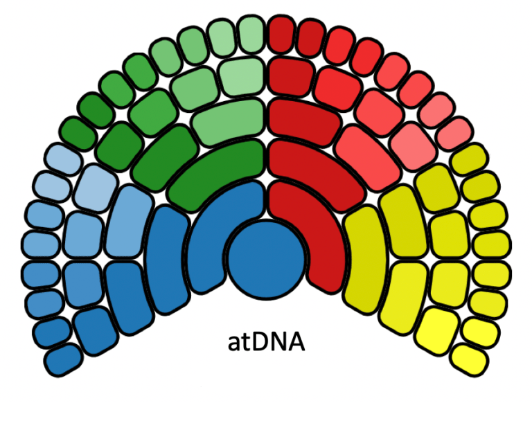 Šemíkovi: Genetická genealogie