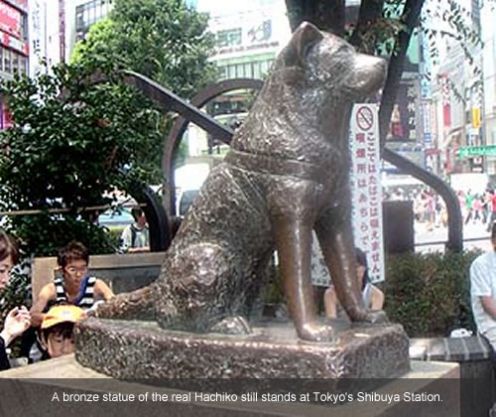 These are a few of my favorite things.....: Hachiko - We could all ...