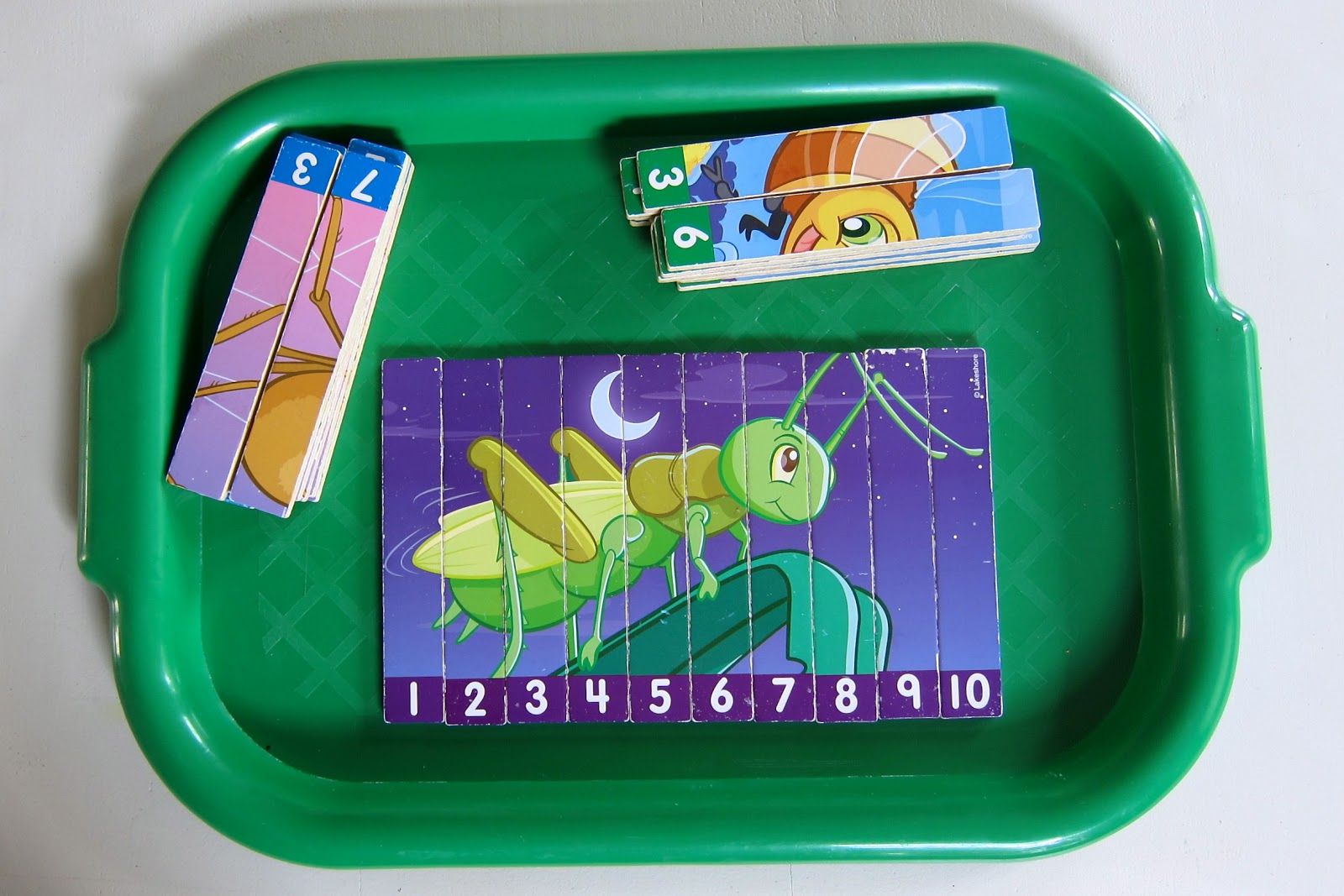 Around Our Schoolroom: Insects, Spiders, and Other Arthropods