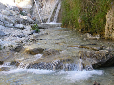 Paso a Paso (un poquito más): Domingo de verano en el río Chillar