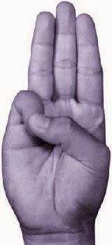 PERSATUAN PANDU PUTERI MALAYSIA CAWANGAN TERENGGANU : PANDU PUTERI REMAJA