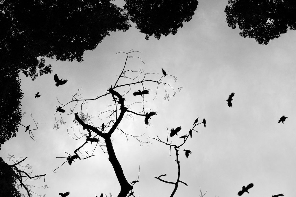 OLTRE IL MURO: ARTE e FOTOGRAFIA: MOHAMMAD RAKIBUL HASAN | PHOTOGRAPHER