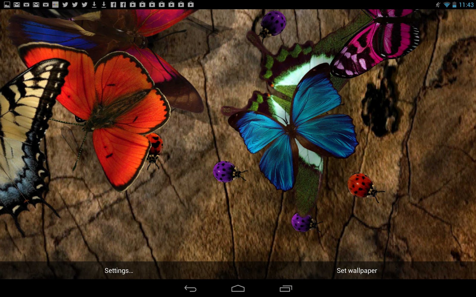 Friendly Bugs Live Wallpaper | Natural Ramblings