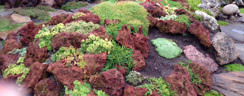 BATU KARANG MERAH [ RED VULCANIC LAVA STONE ] - JUAL BATU ALAM ...