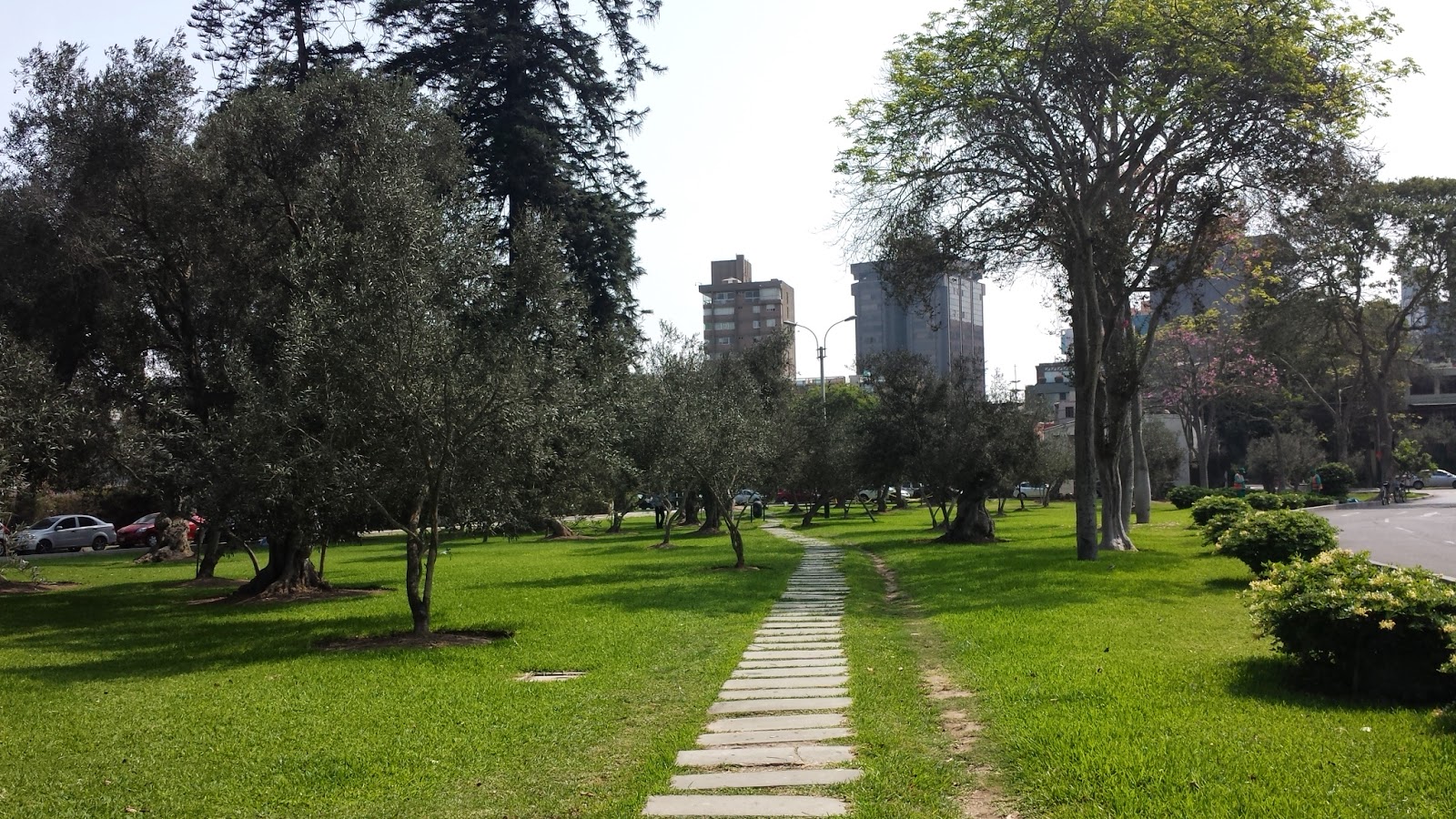 Mi amor, ¿recorremos Lima?: Bosque EL Olivar-San Isidro