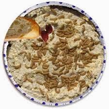 Food Adventures: Food Adventure 9: Casu Marzu