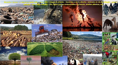 COLLAGE DEL IMPACTO DEL HUMANO EN LA NATURALEZA