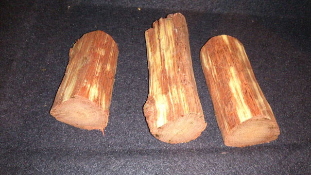 ZAMRUD TECHNOLOGY: ||TERAS TEBU GAJAH||