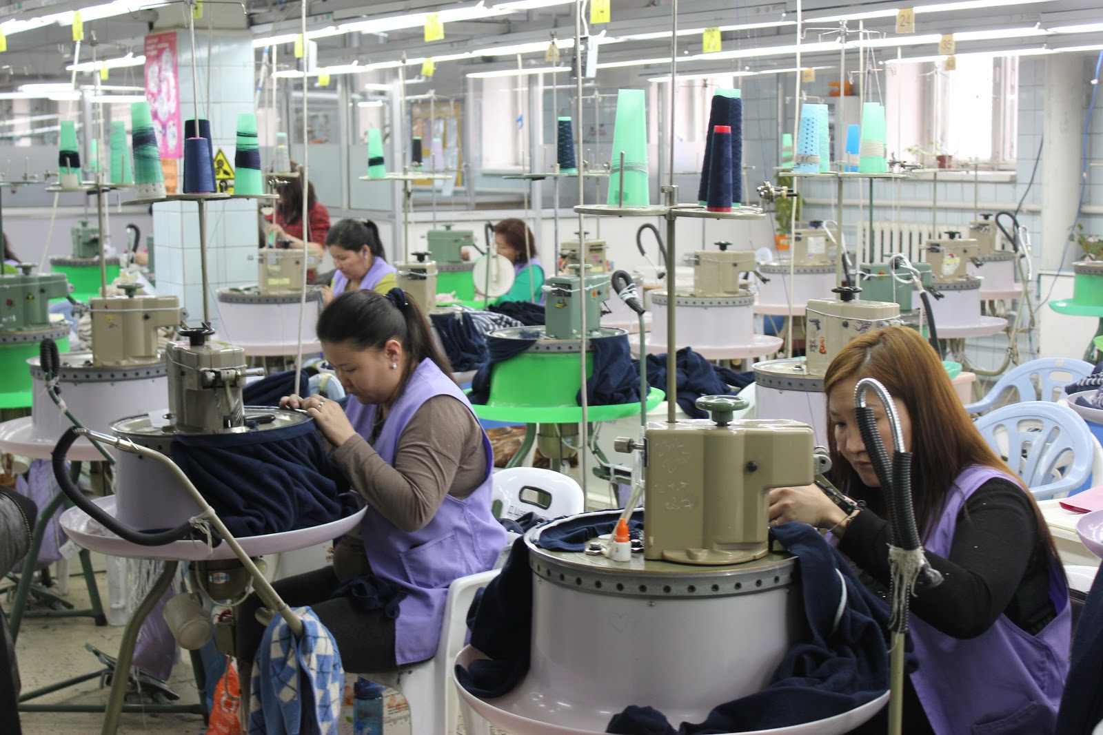 Musings in Mongolia: Bodg Khan summer and winter palace and Cashmere ...