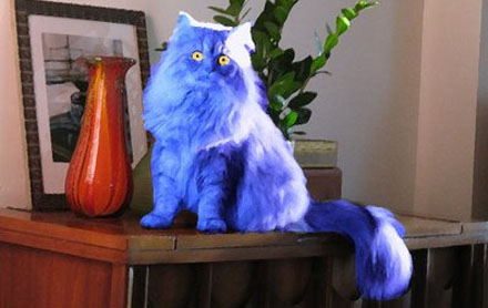 Baldufa: El gato que está triste y azul