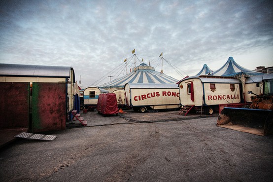 Bee & Mason: circus....