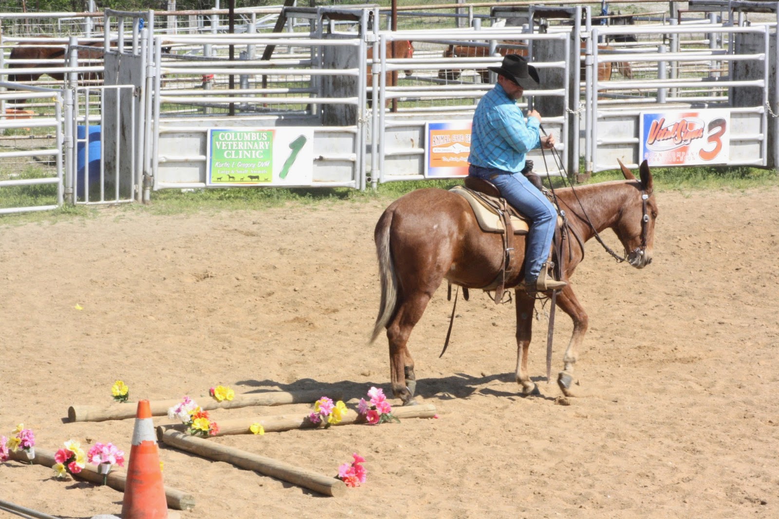 PairADice Mules: Extreme Cowboy Race Association