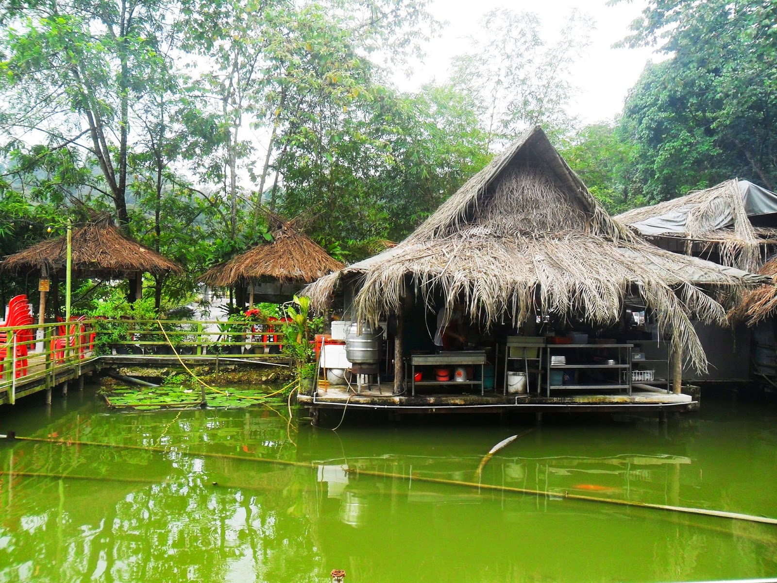 Ewe Paik Leong, The Wordslinger: Thai Fish Farm Restaurant – dog ...