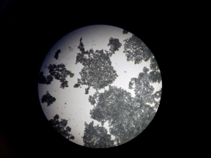 Lab Report: Practical 3: Particle Size and Shape Analysis Using Microscope