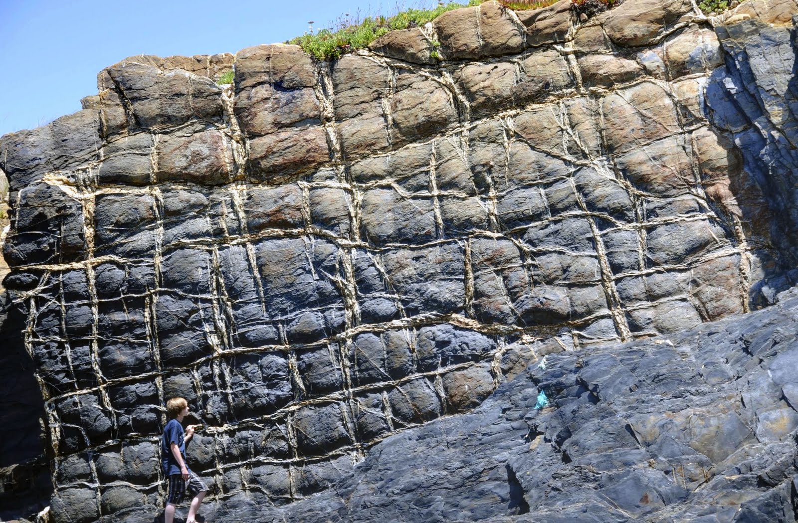 Structural geology: Portuguese boudins and folds