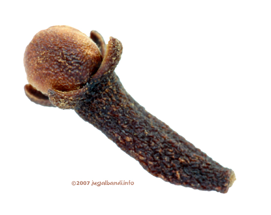 Health and Inspiration: Fenugreek and Clove(Krambu), Cinnamon