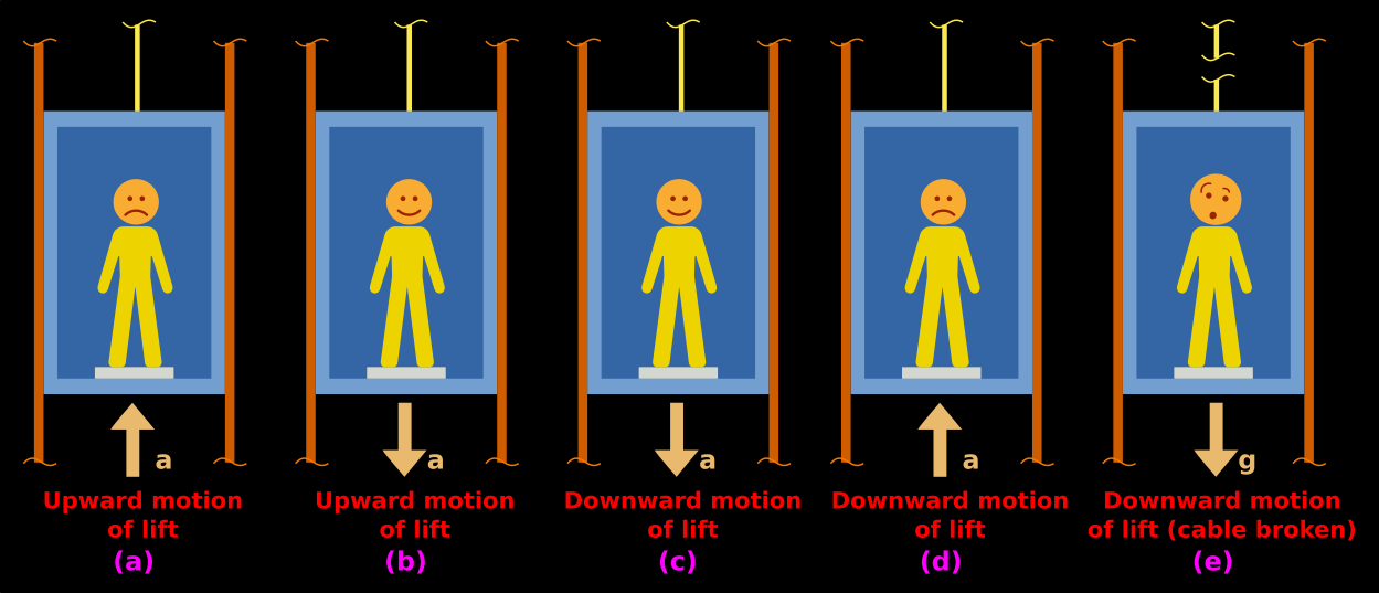 Higher Secondary Physics: Chapter 5.8 - Apparent Weight in a Lift