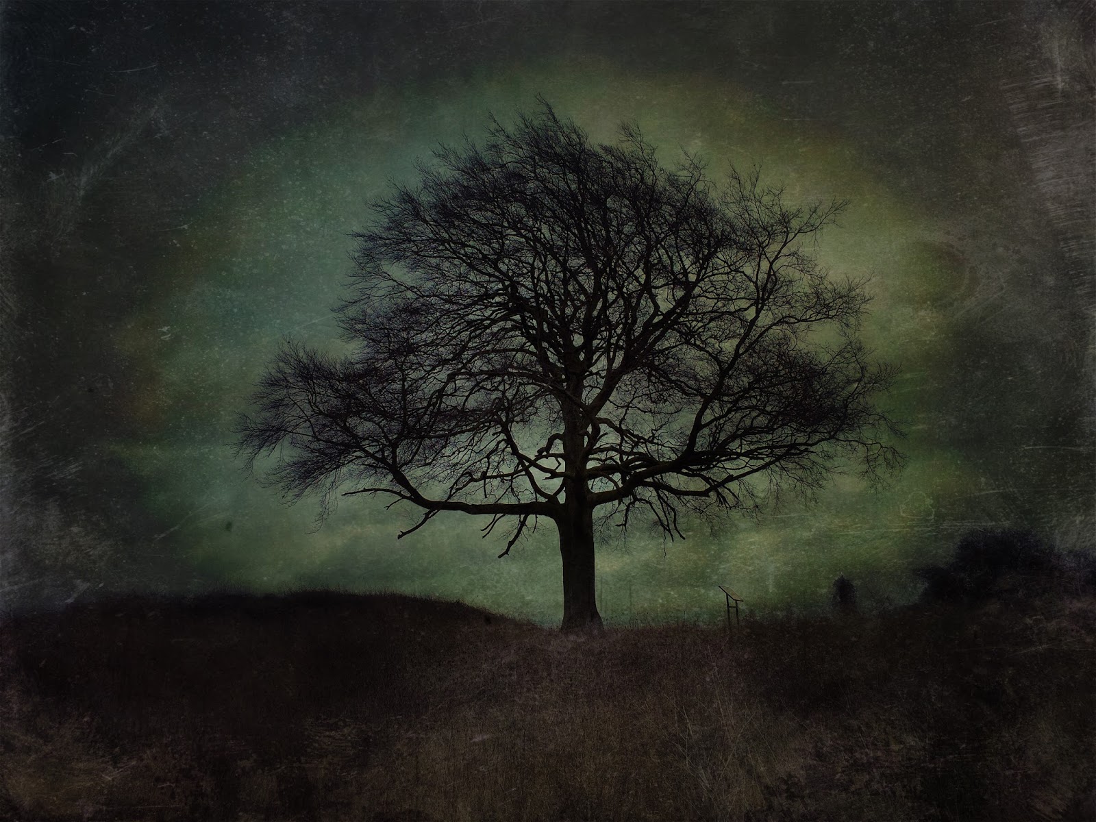 A hauntological walk across Fulbourn Fen, along Fleam Dyke to the ...