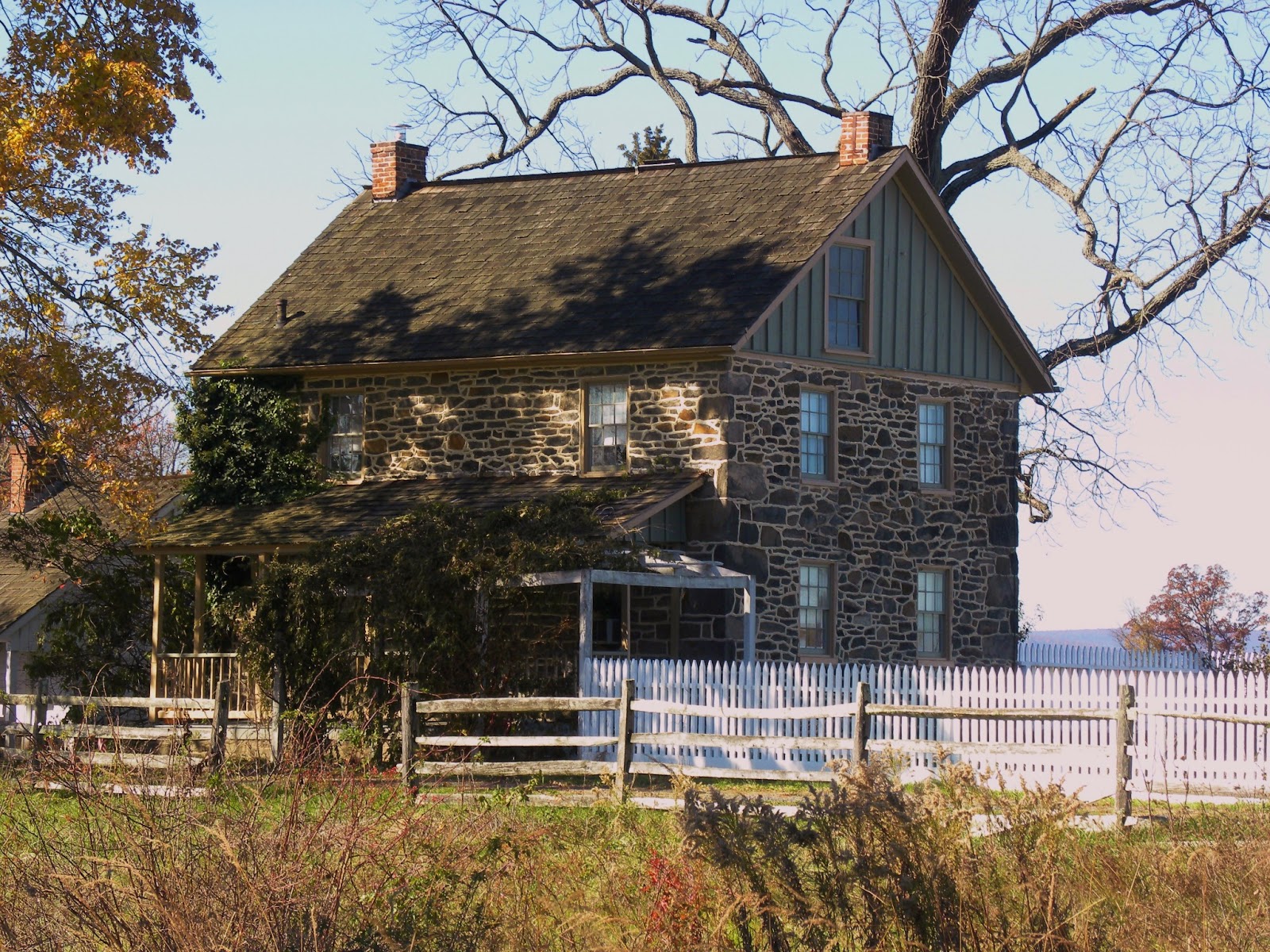 THEIR STORIES: The Willis Babcock Story: New Year, New Discovery